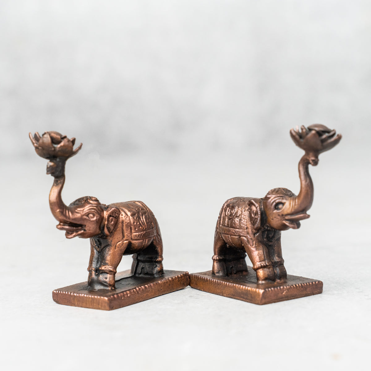 Copper Elephant Pair – The Advitya
